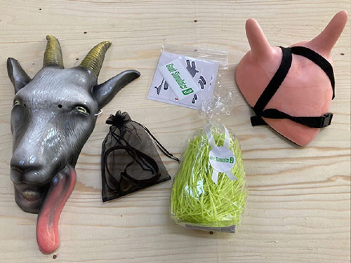 goat simulator 3 | sculpture | Exhibition and Event Prop