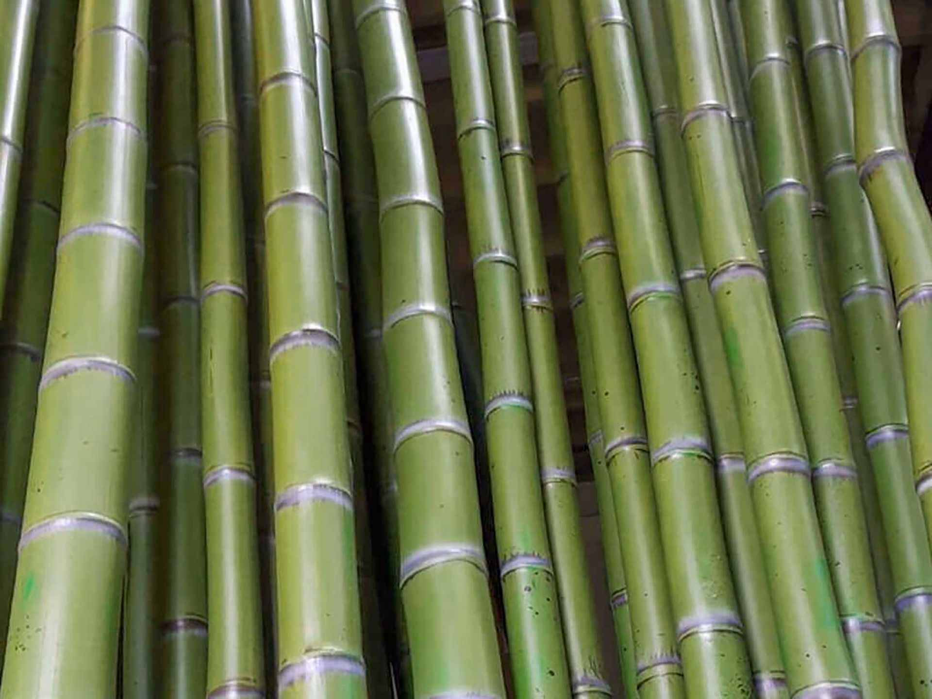 Lots of Bamboo Poles for a Major Movie | Spur Creative